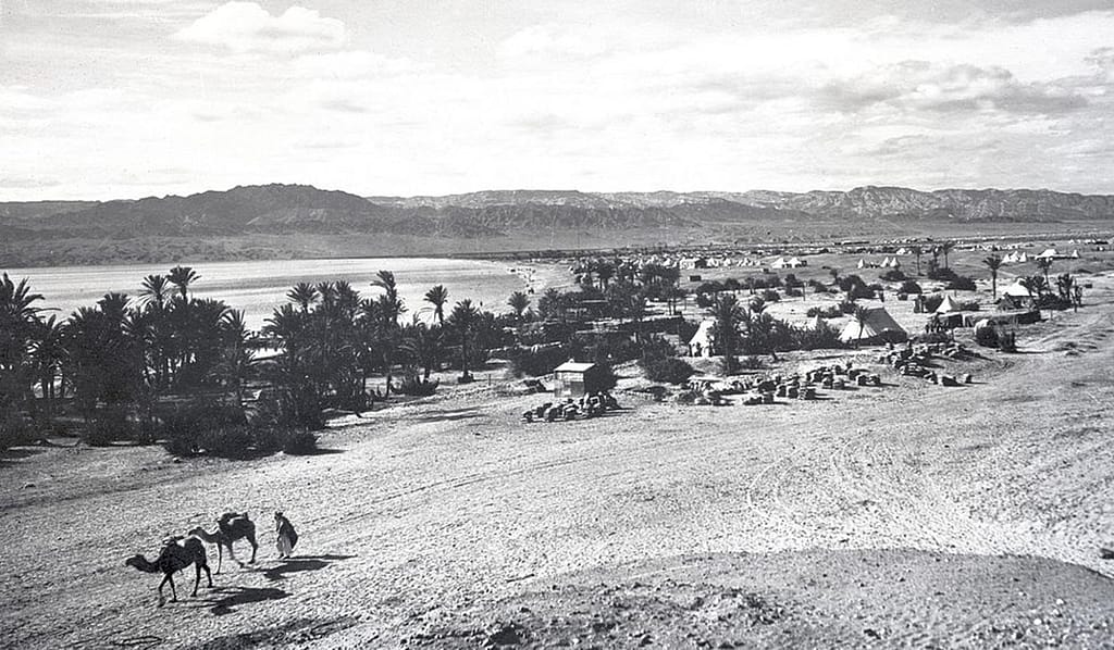 Capture of Aqaba by TE Lawrence and the Arab Army, 06 July 1917