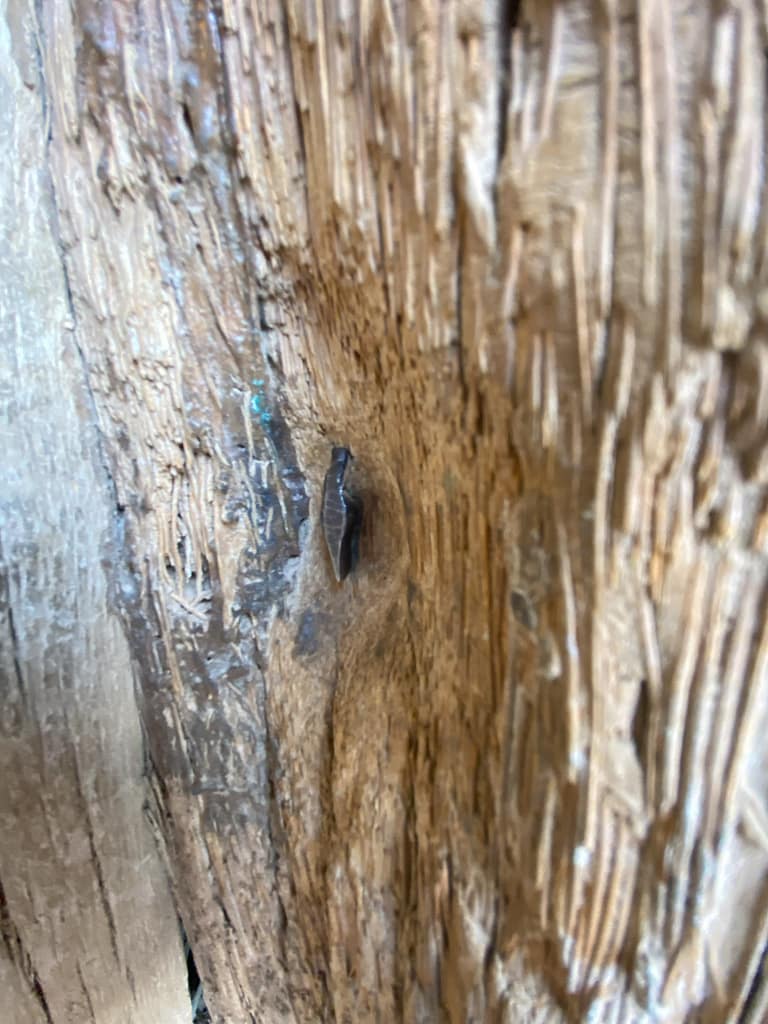 Battle of Riyadh - Al Masmak Fortress, 16 January 1902 - www ...